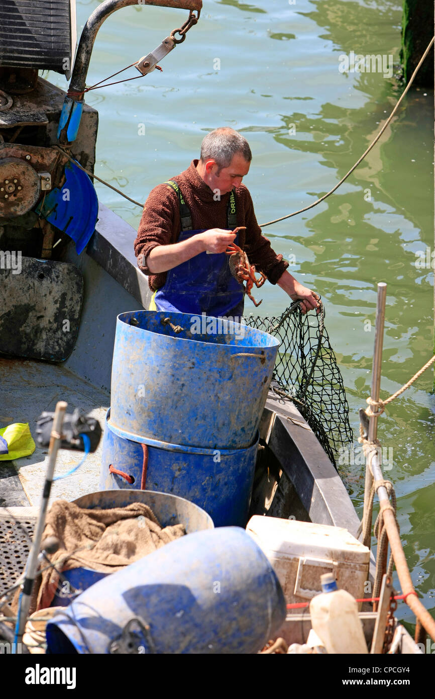 Catch Quotas High Resolution Stock Photography and Images - Alamy