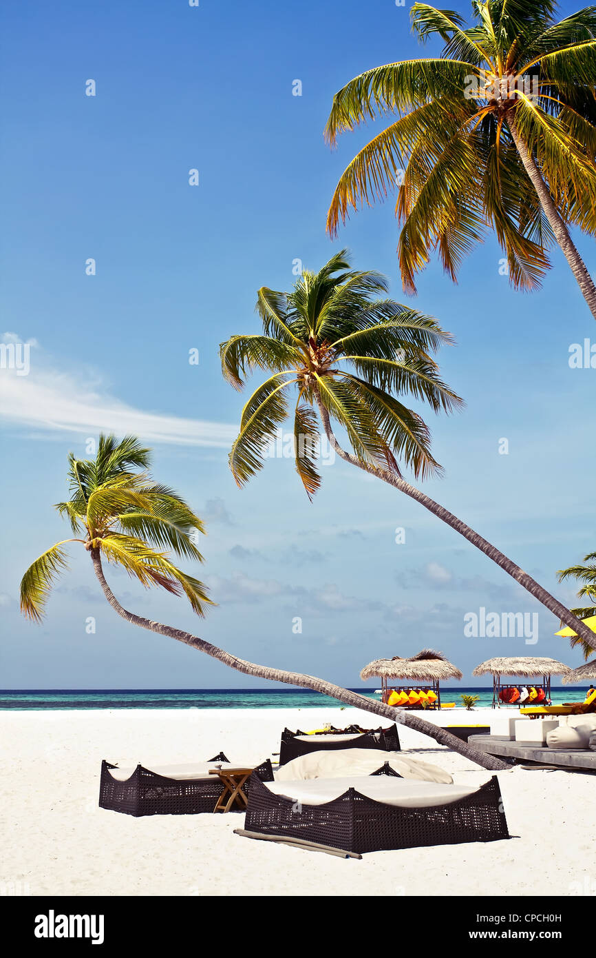 Sand couch grass hi-res stock photography and images - Alamy