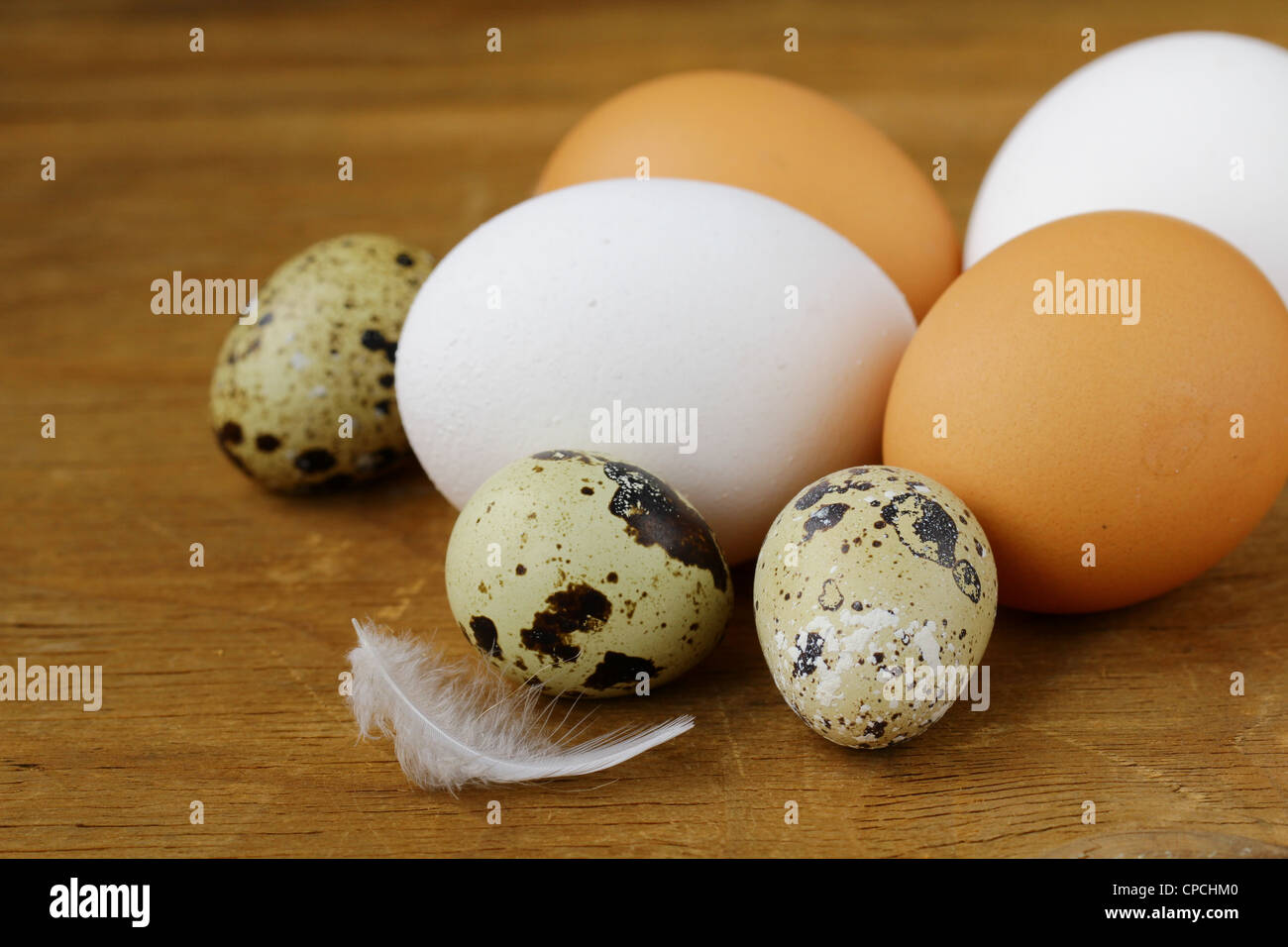 chicken and quail eggs , rustic style Stock Photo - Alamy