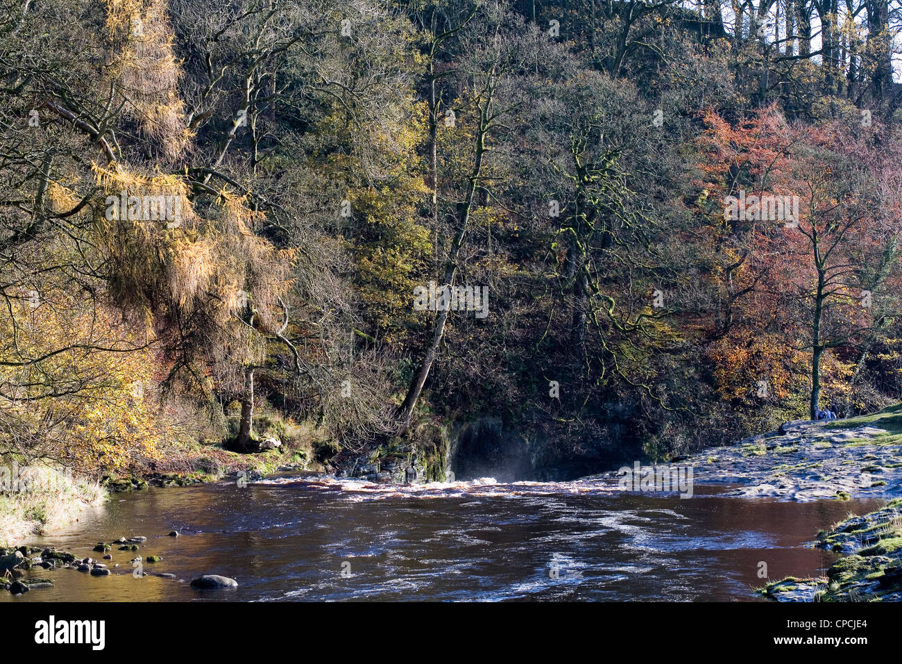 The River Ribble Stainforth Force Stainforth Settle Yorkshire Dales ...