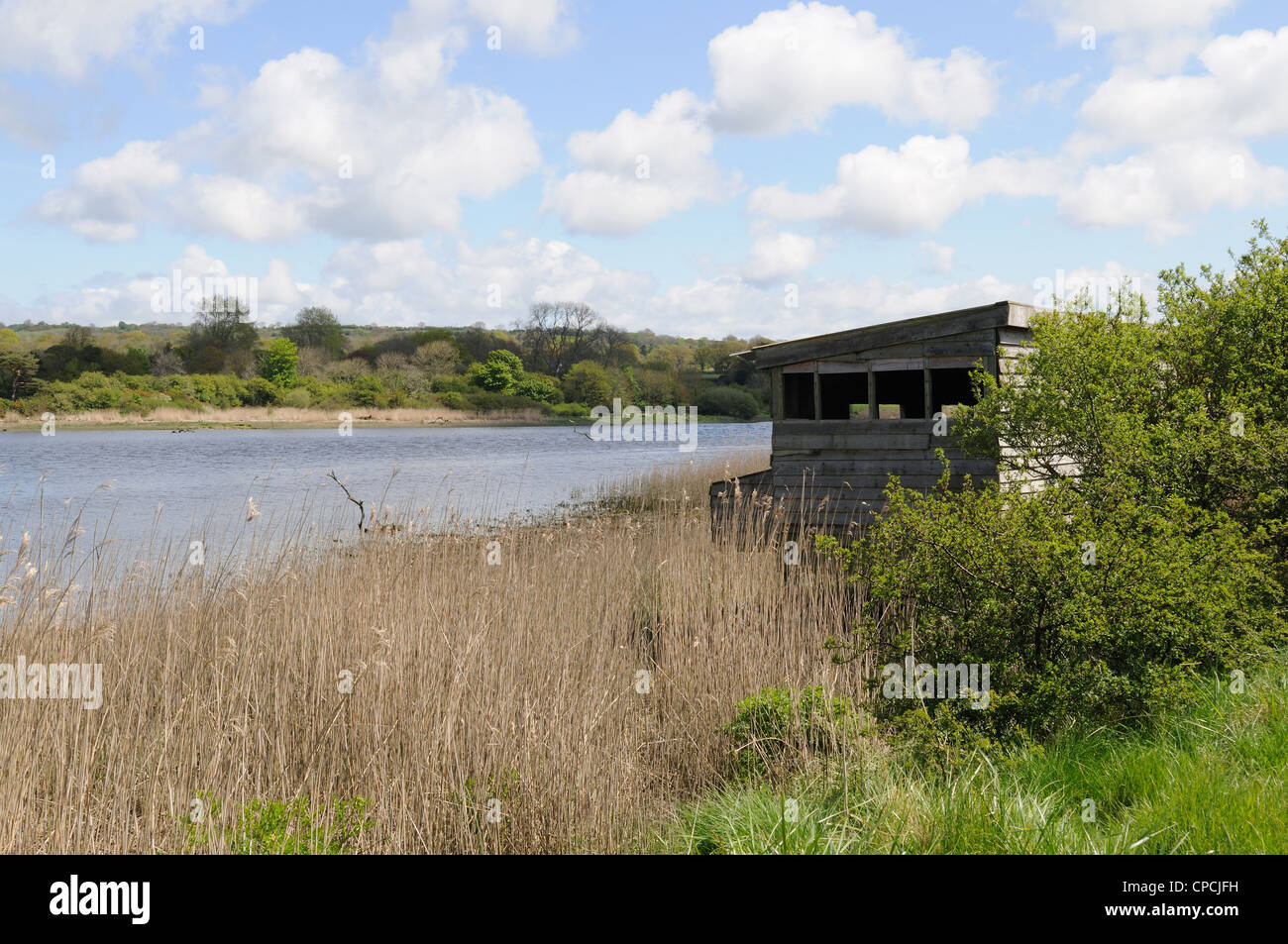 Teifi wildlife hi-res stock photography and images - Alamy