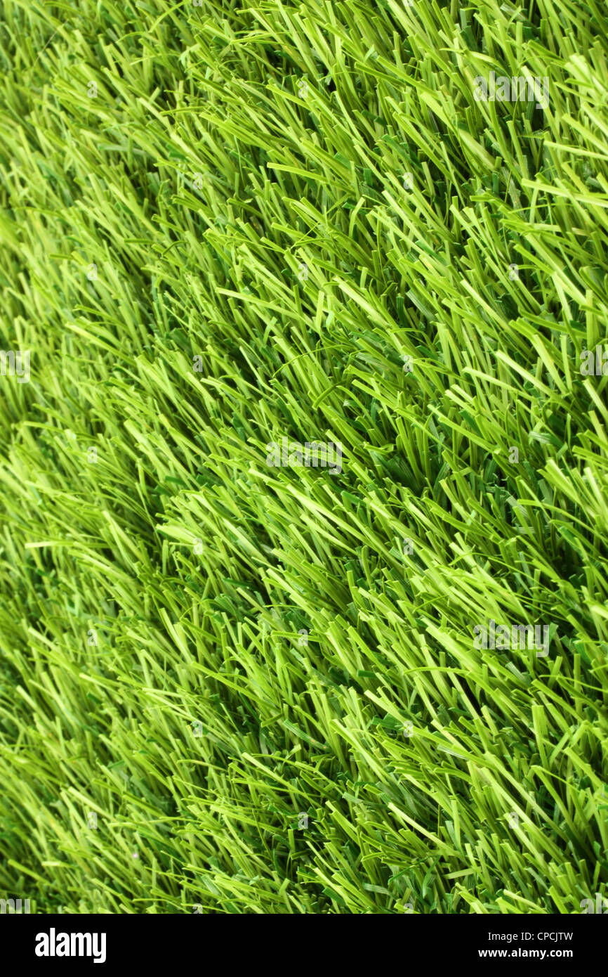 Grassy field that is growing and empty Stock Photo - Alamy