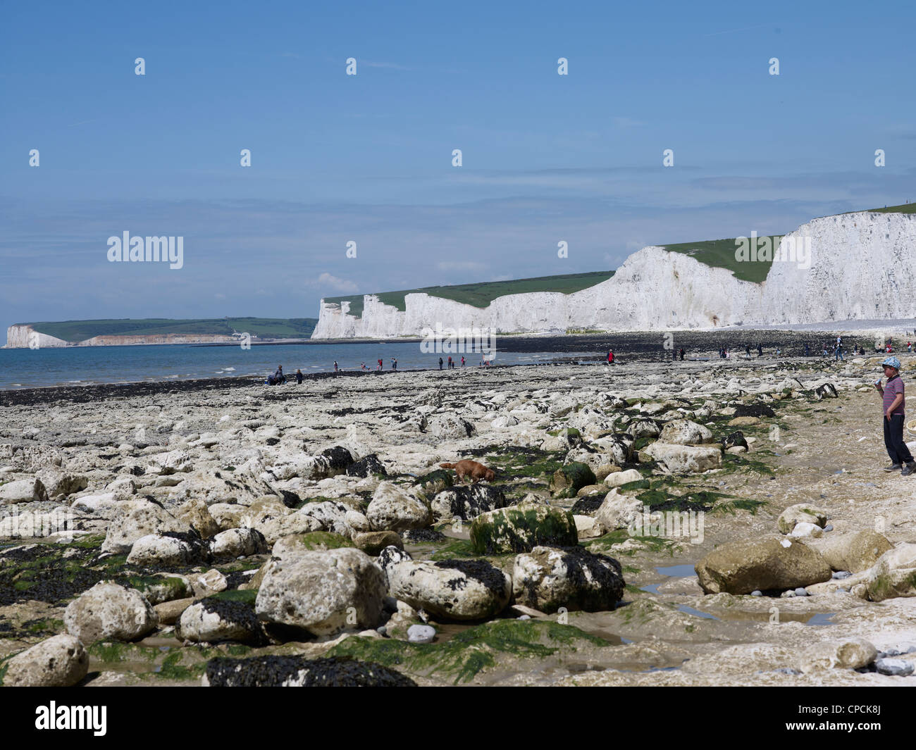 Birling Gap beach with chalk cliffs behind Stock Photo - Alamy