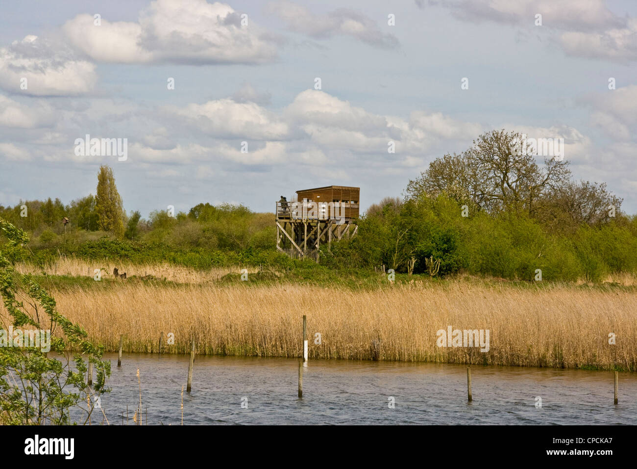Shelter bird hide wooden lake lake hi-res stock photography and images ...