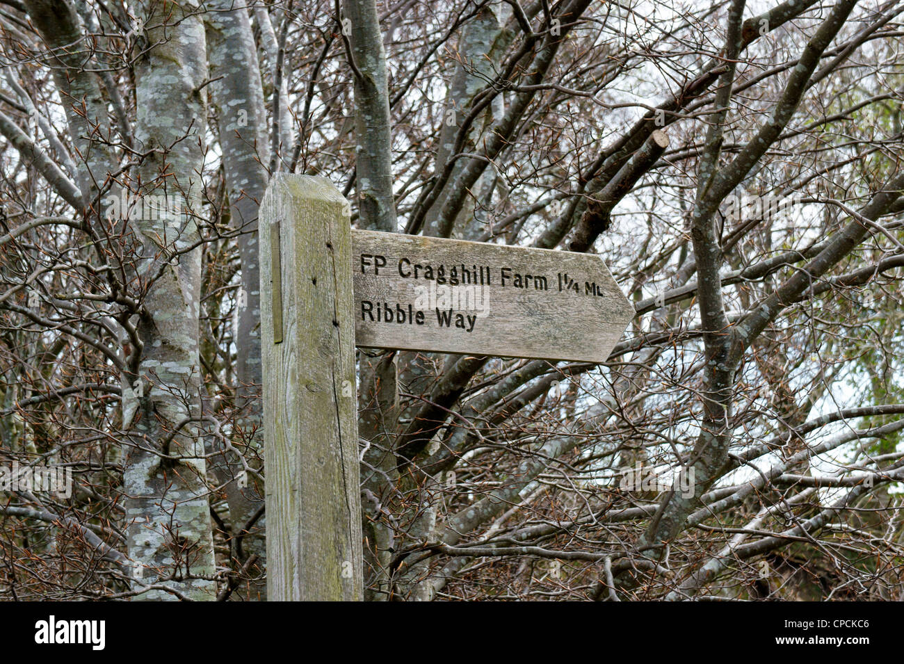 Ribble Way Walk High Resolution Stock Photography and Images - Alamy