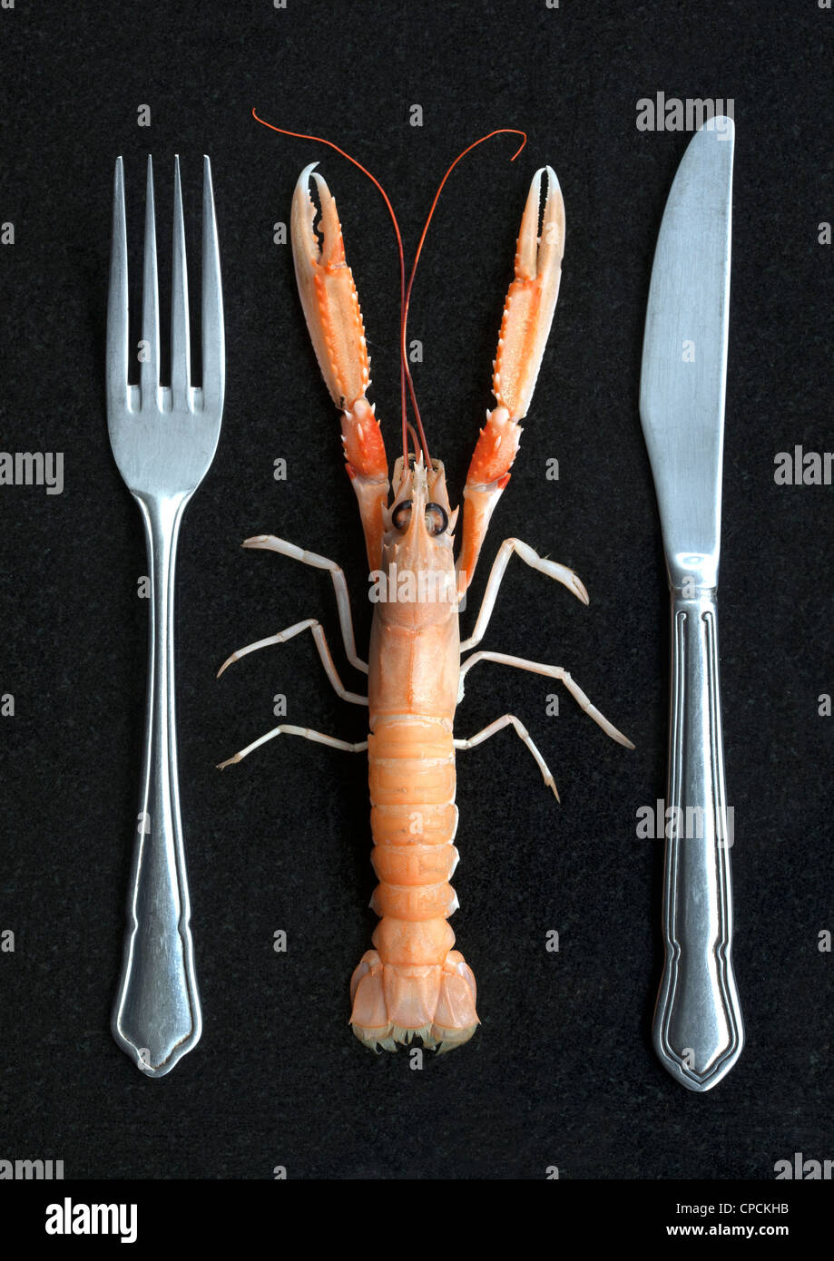 Langoustine with Knife and Fork Stock Photo - Alamy