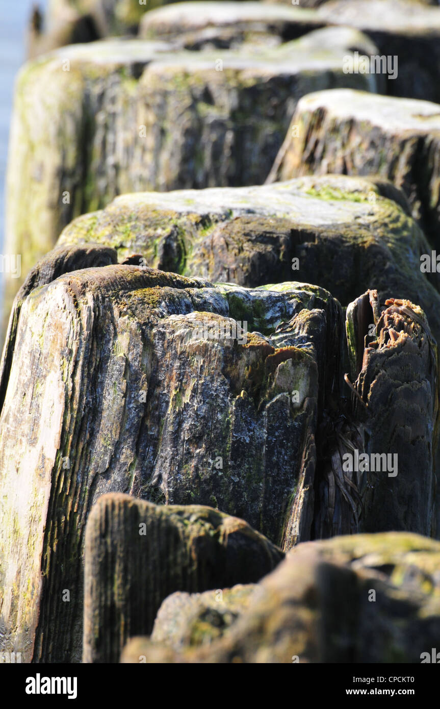Baltic sea bulwark hi-res stock photography and images - Alamy