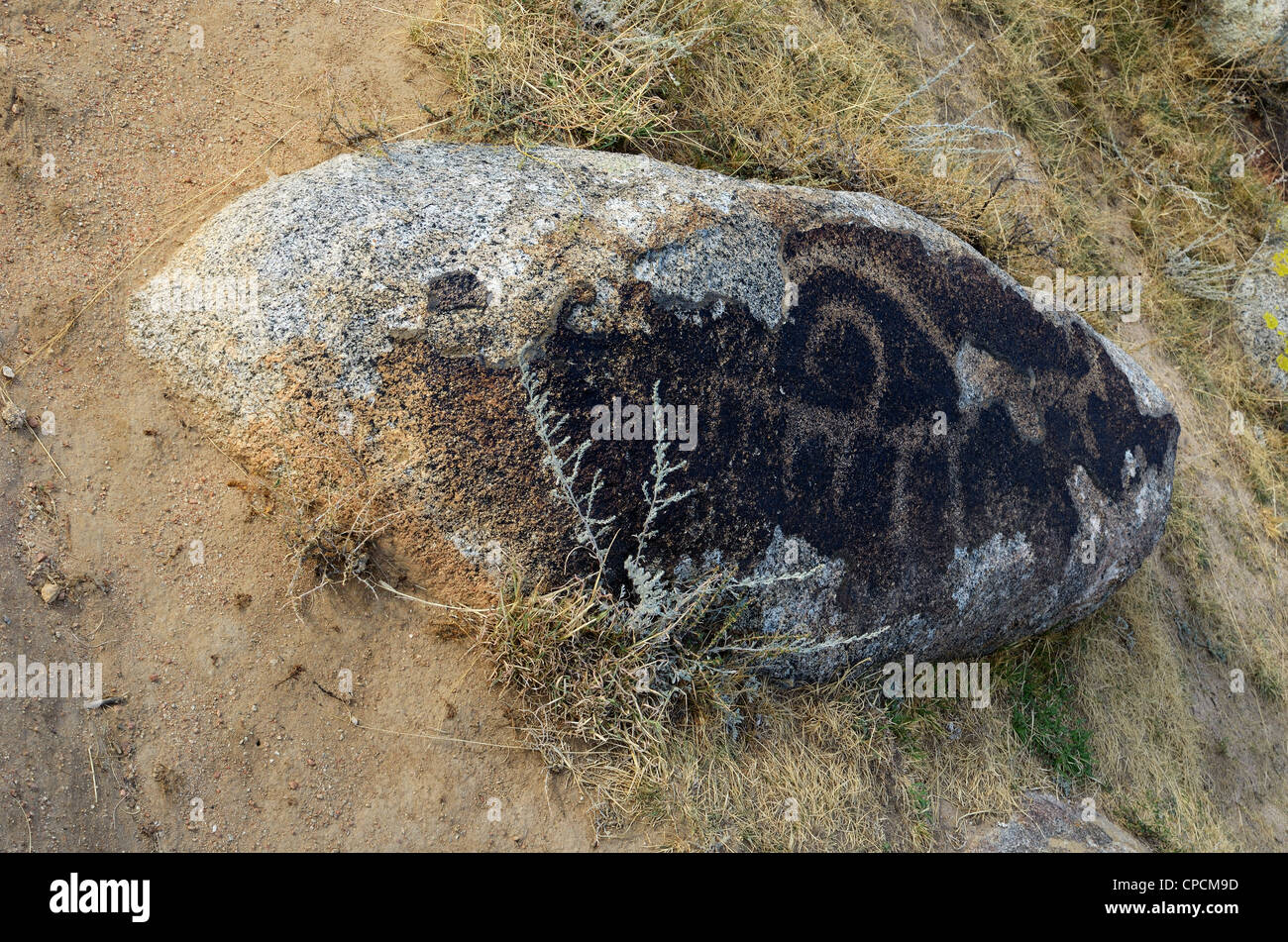 Rocks with petroglyph's during stone age in Kyrgyzstan Stock Photo - Alamy