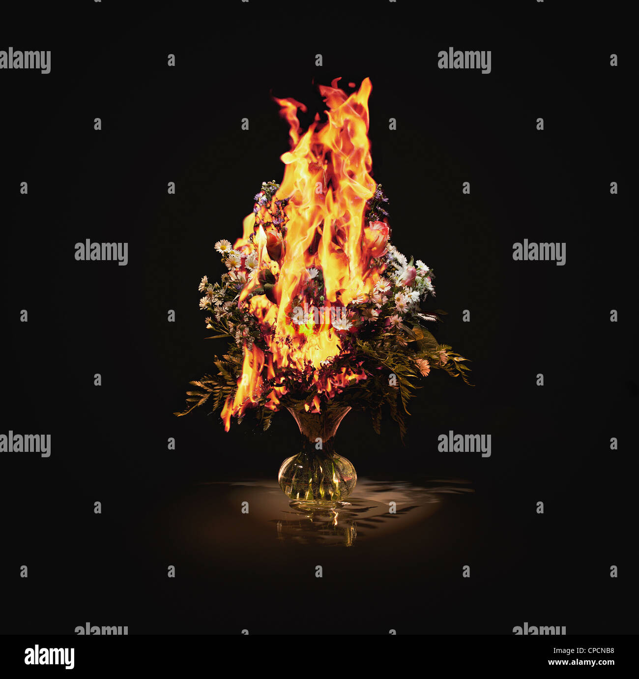 Vase of burning flowers Stock Photo - Alamy