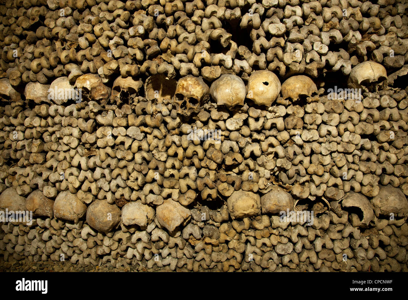 Bone pile in the catacombs. Paris, France Stock Photo - Alamy
