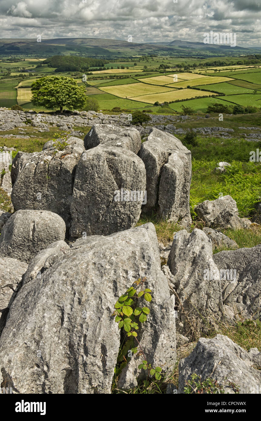 Farleton Knott Cumbria looking towards Barbon Fell and North Yorkshire ...