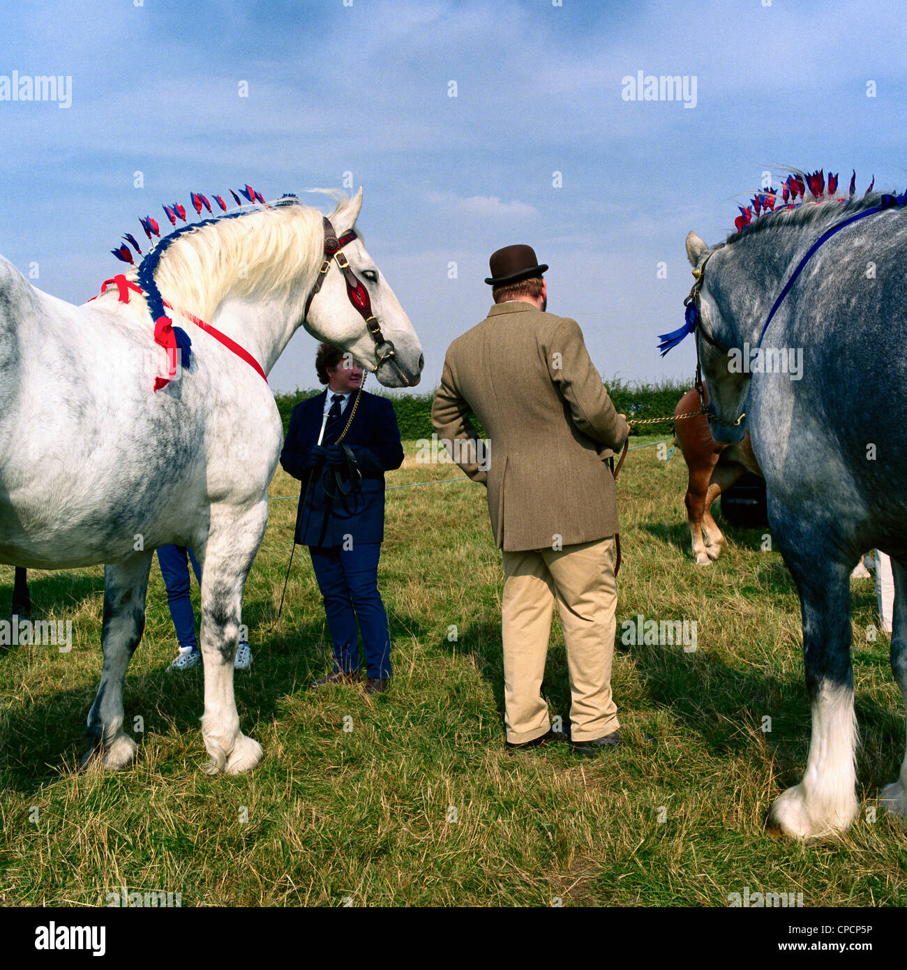 Judging of shire horses at the Gransden and District Agricultural Show ...