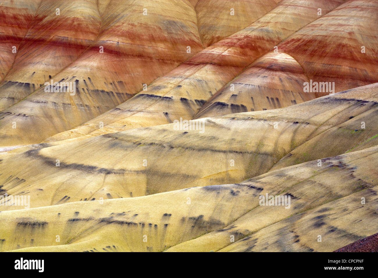 The geologic patterns and colors of the Painted Hills in Oregon Stock ...
