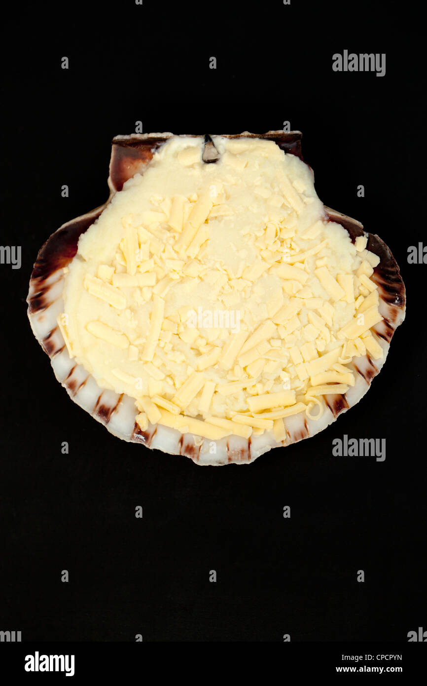 St jacques shell hi-res stock photography and images - Alamy