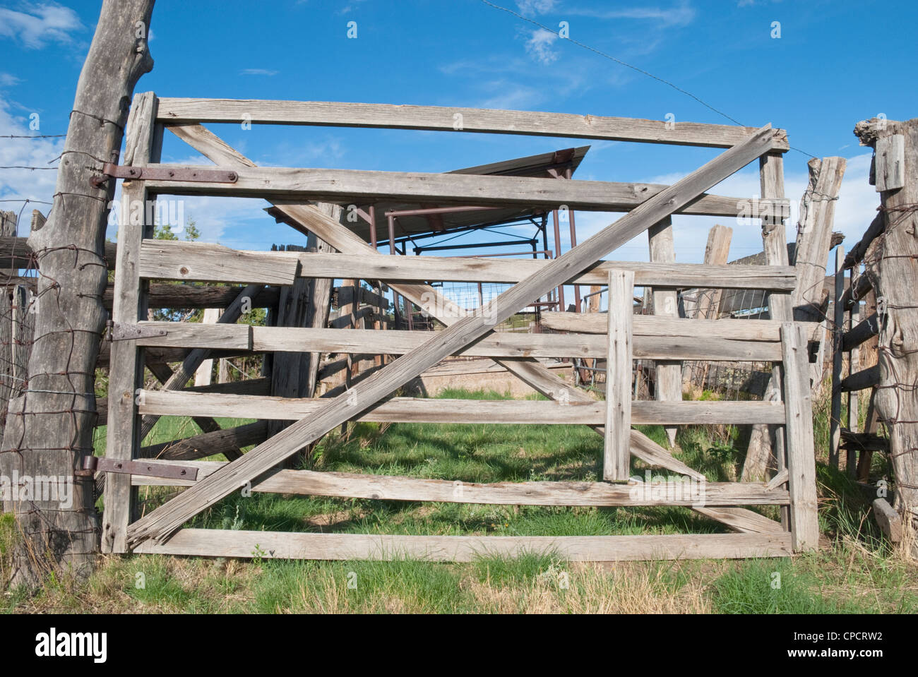 Cattle gate hi-res stock photography and images - Alamy