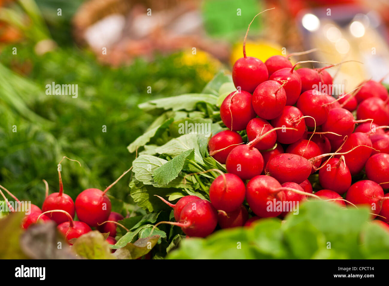 fresh radish on the market Stock Photo - Alamy