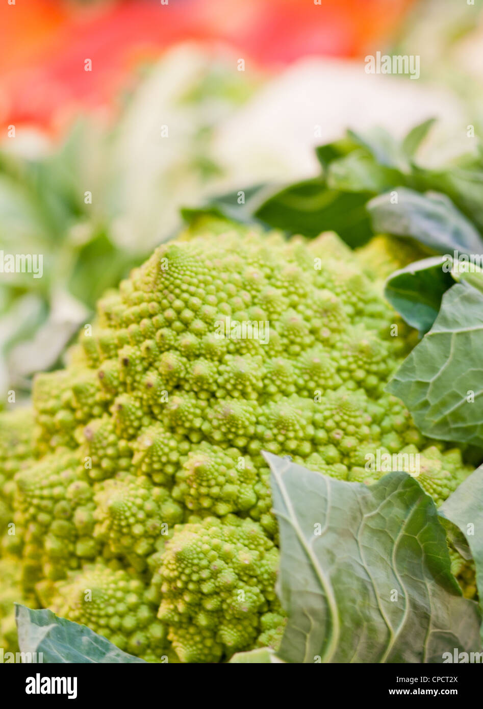 Romanesco market hi-res stock photography and images - Alamy