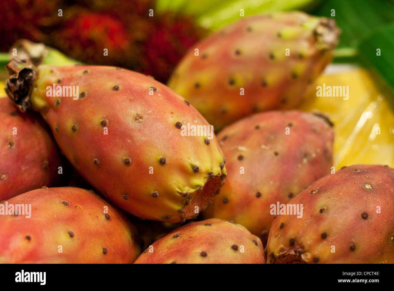 Eating prickly pear fruit hi-res stock photography and images - Alamy