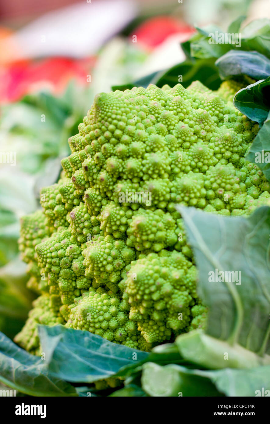 Romanesco market hi-res stock photography and images - Alamy