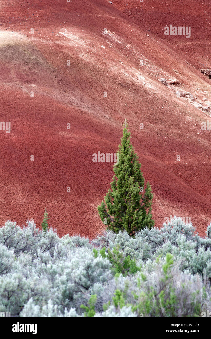 The green and red colors of the Painted Hills in Oregon Stock Photo - Alamy