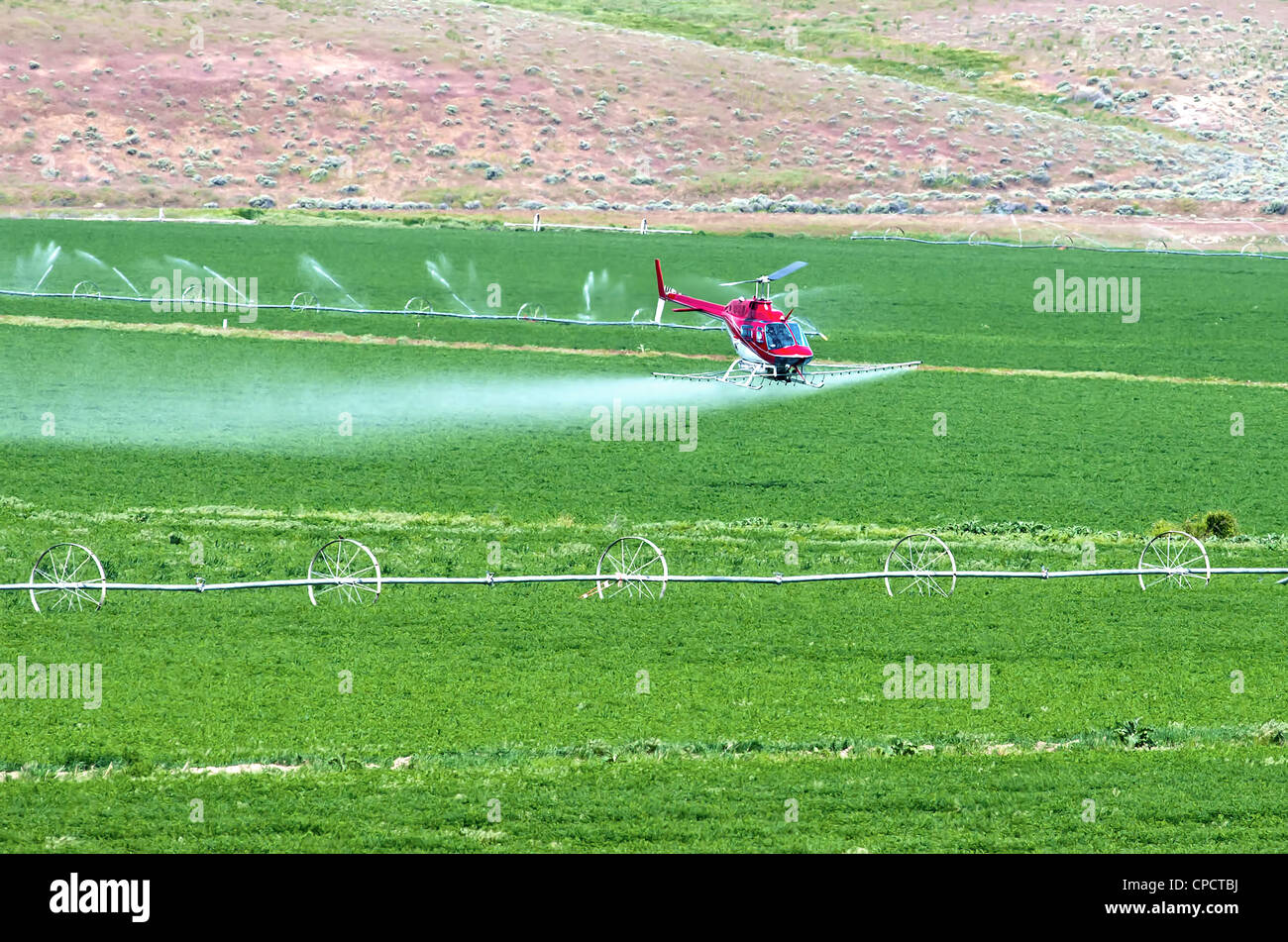 A helicopter is crop dusting a farm field in north central Oregon Stock ...