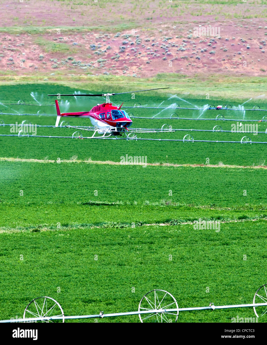 A helicopter is crop dusting a farm field in north central Oregon Stock ...