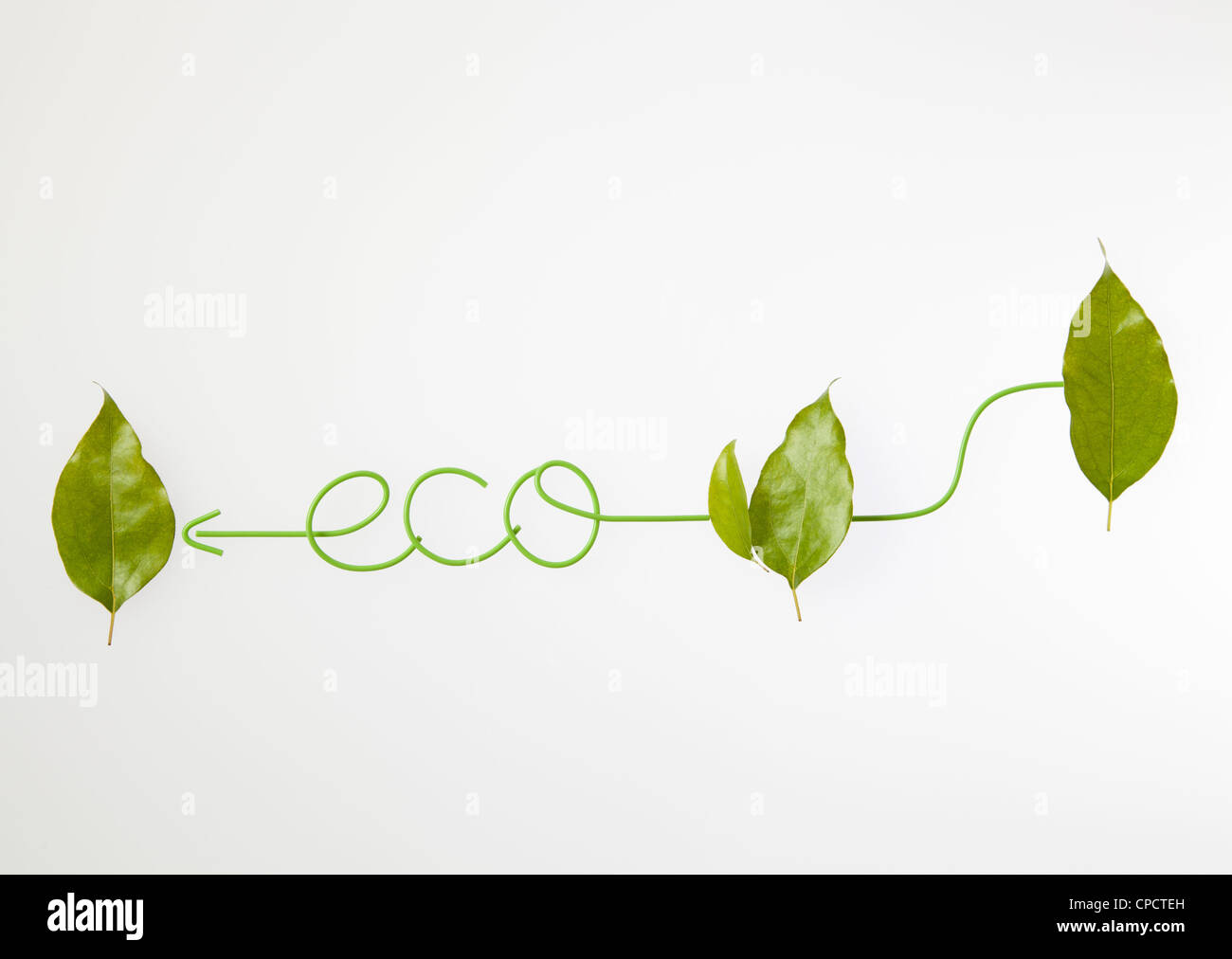 Leaves with word "eco Stock Photo - Alamy
