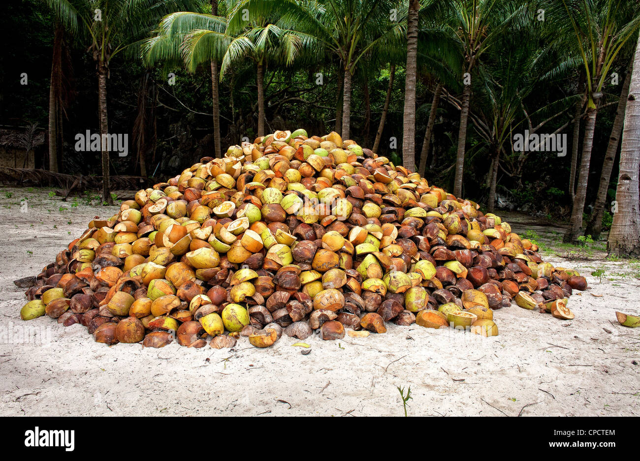 A pile of discarded coconut shells adorns the beach at a small island ...