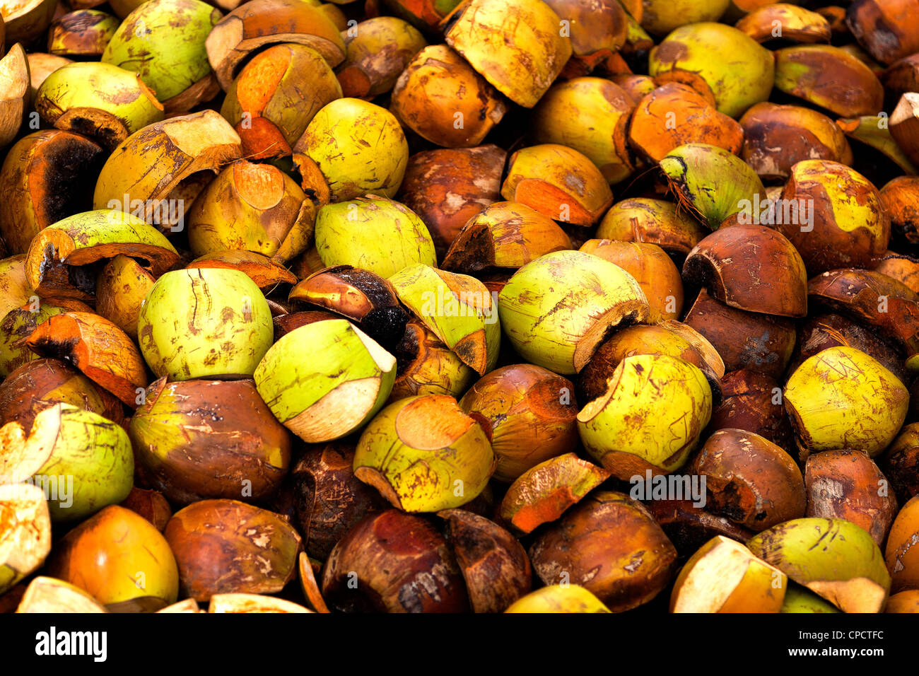 A pile of discarded coconut shells adorns the beach at a small island ...