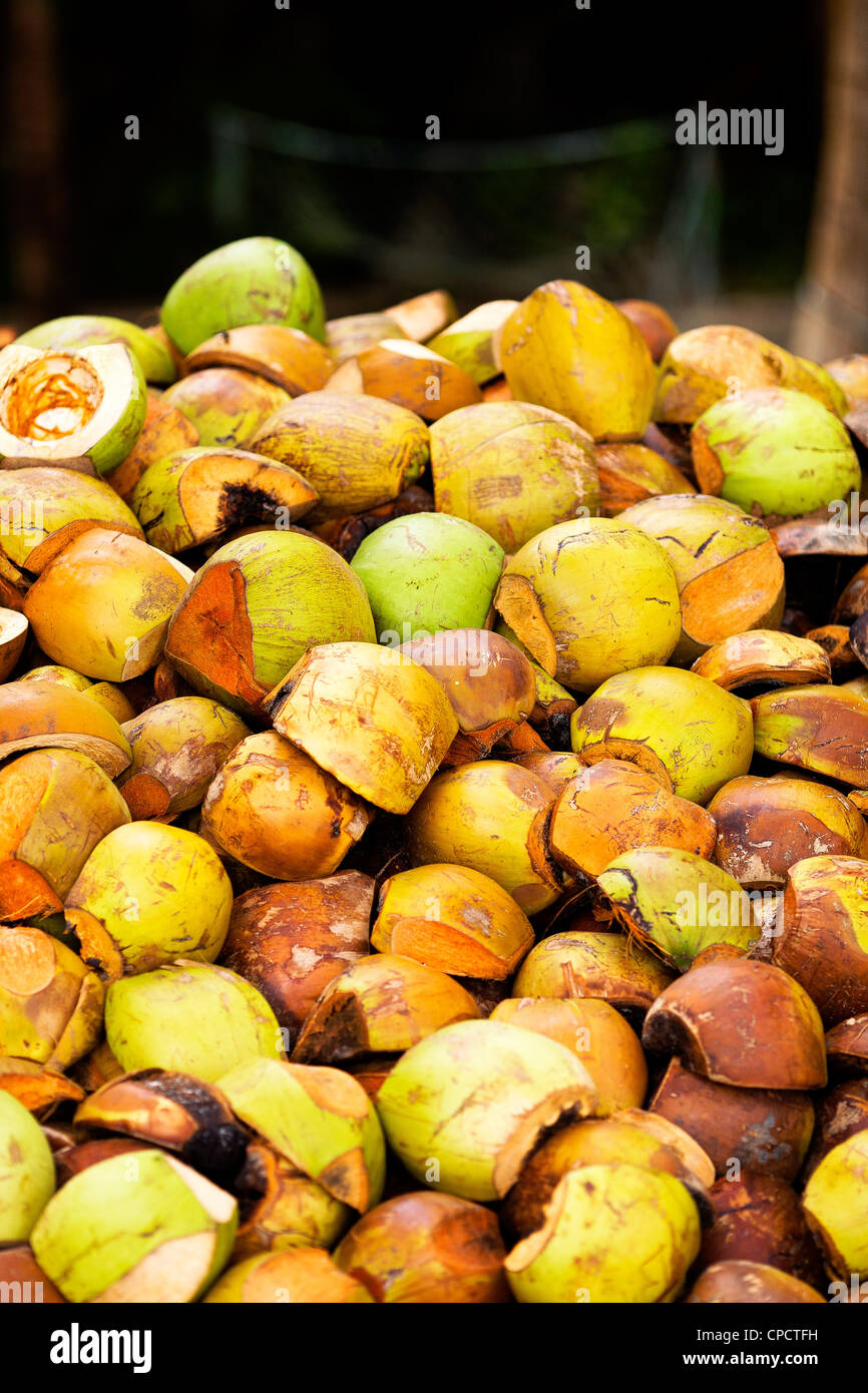 A pile of discarded coconut shells adorns the beach at a small island ...