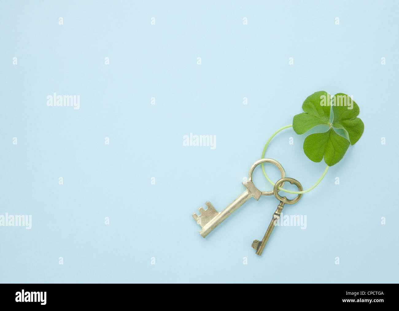 Keys with leaf key chain (Ecology image Stock Photo - Alamy