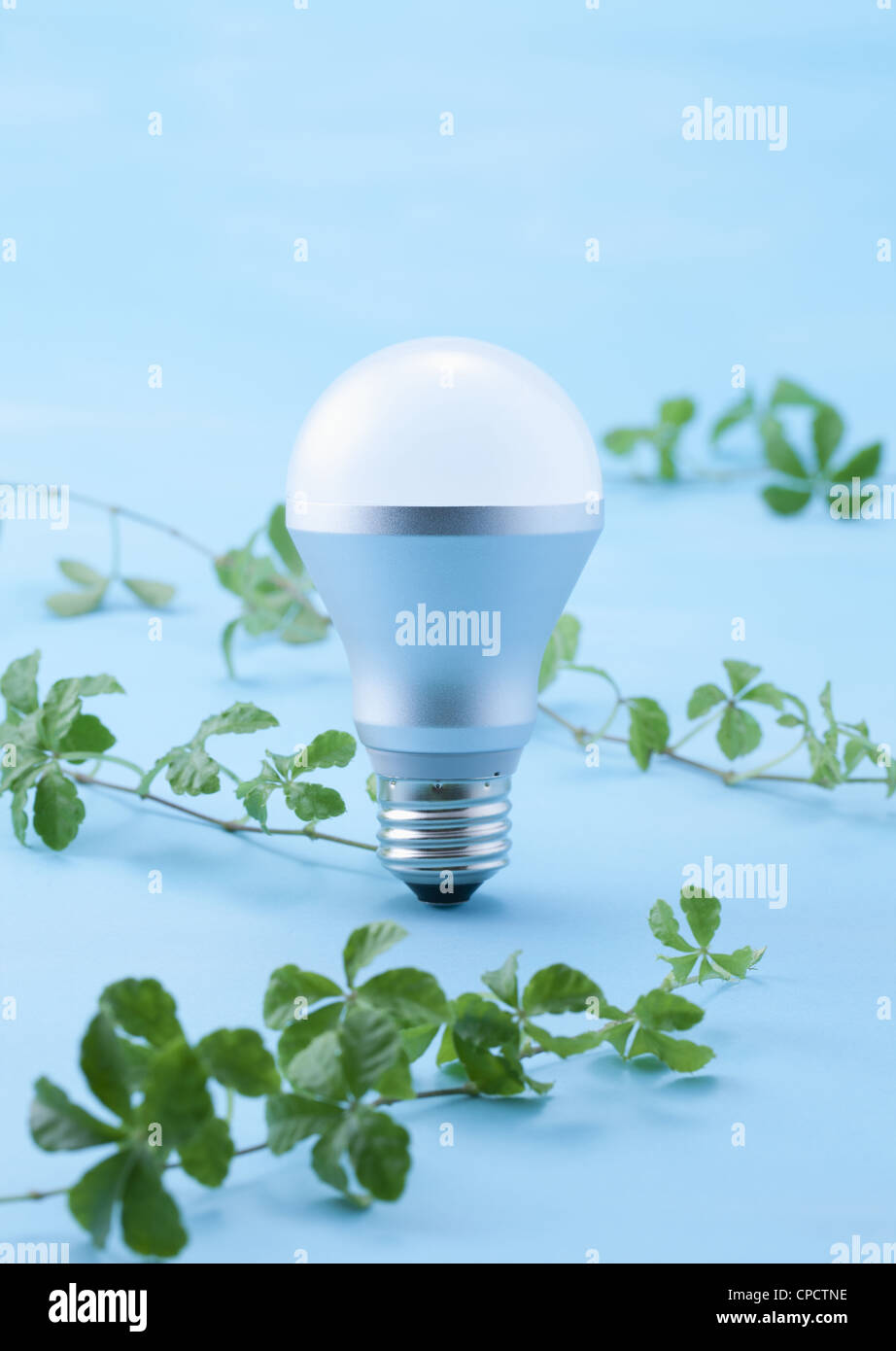 LED bulb and leaves Stock Photo - Alamy