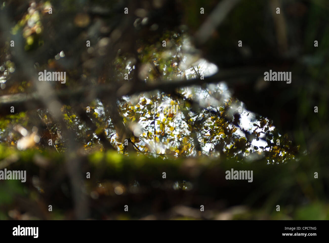 Whiteshell provincial park hiking hi-res stock photography and images ...