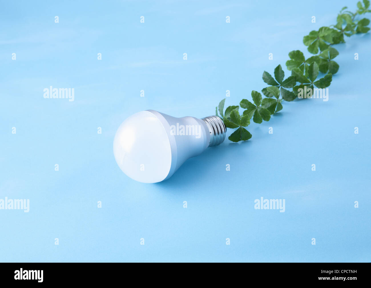 LED bulb and leaves Stock Photo - Alamy