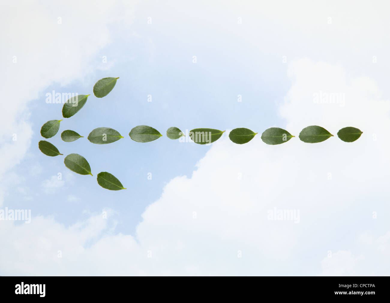 Arrow of leaves Stock Photo - Alamy