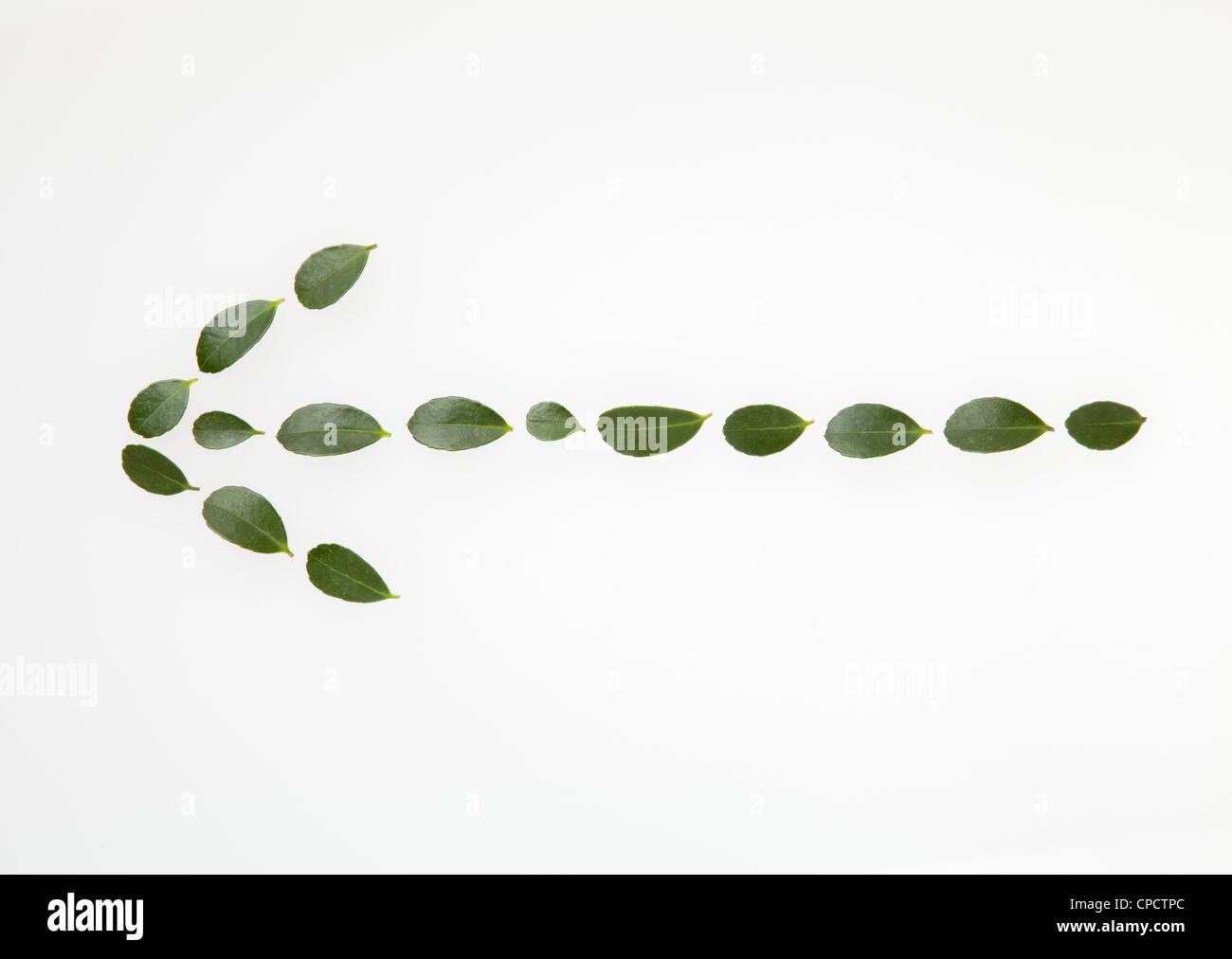 Arrow of leaves Stock Photo - Alamy