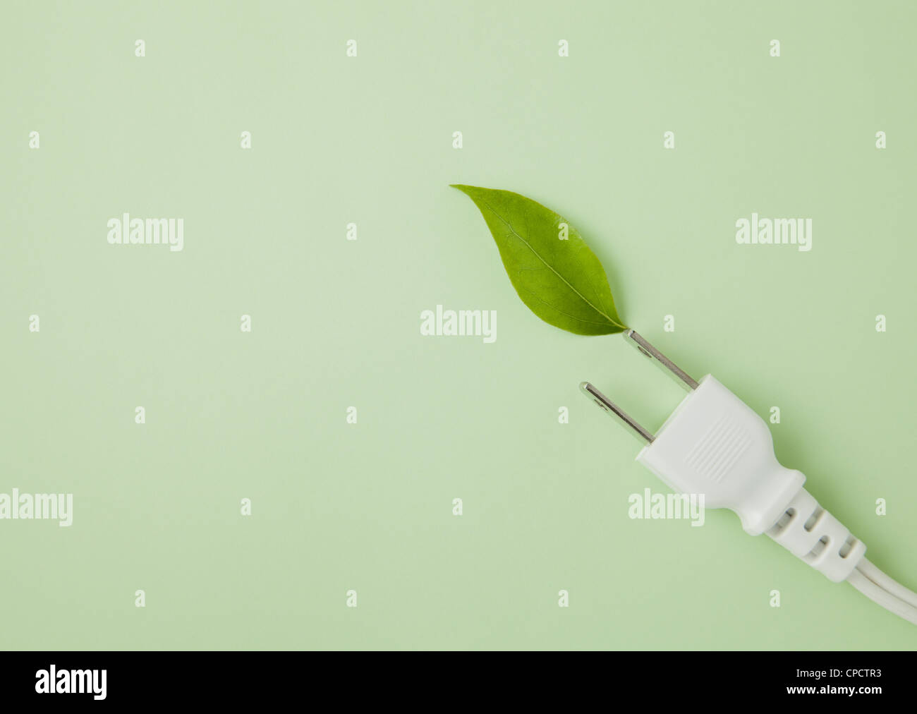 Plug and leaf Stock Photo - Alamy