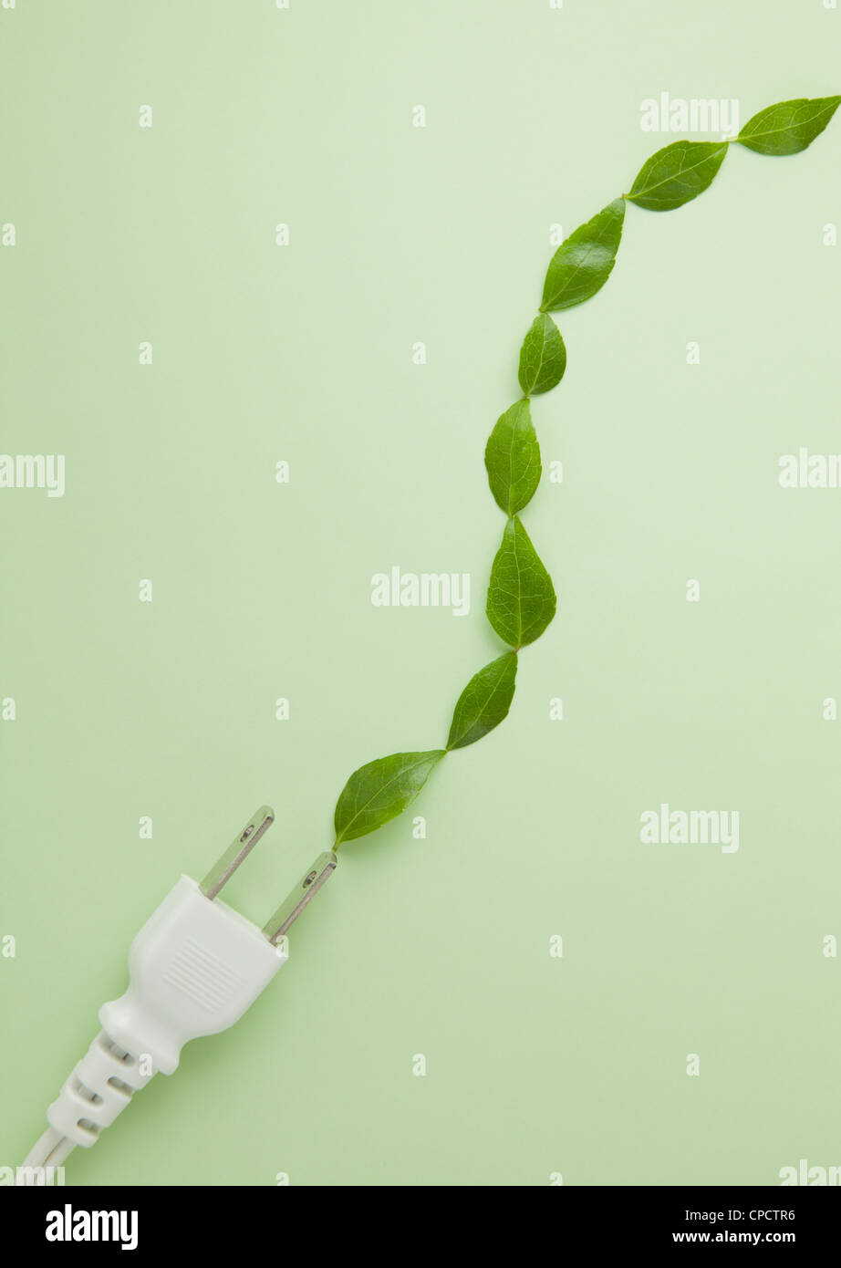 Plug and leaves Stock Photo - Alamy