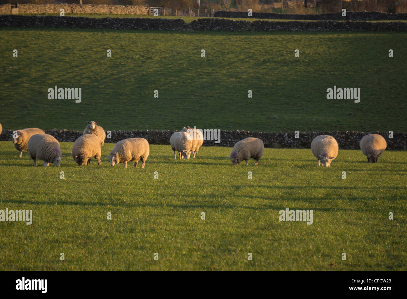 peak district; peak district national; park; national park; derbyshire ...