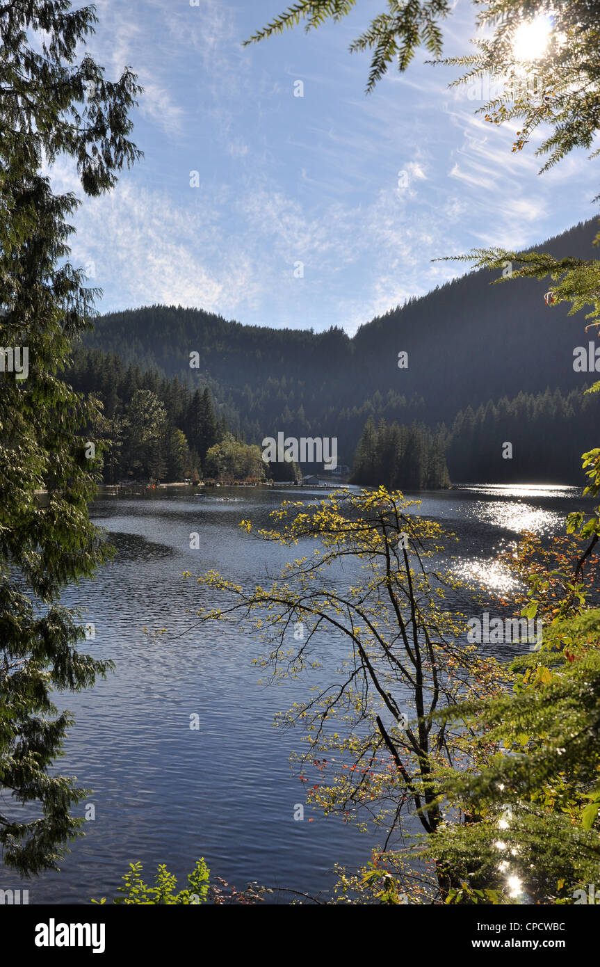 Beautiful landscape view with nature tree frame Stock Photo - Alamy