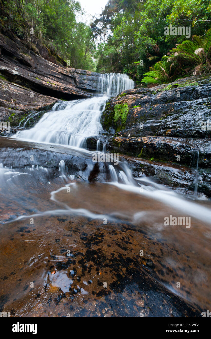 Lady barron waterfalls mount field national park tasmania hi-res stock ...
