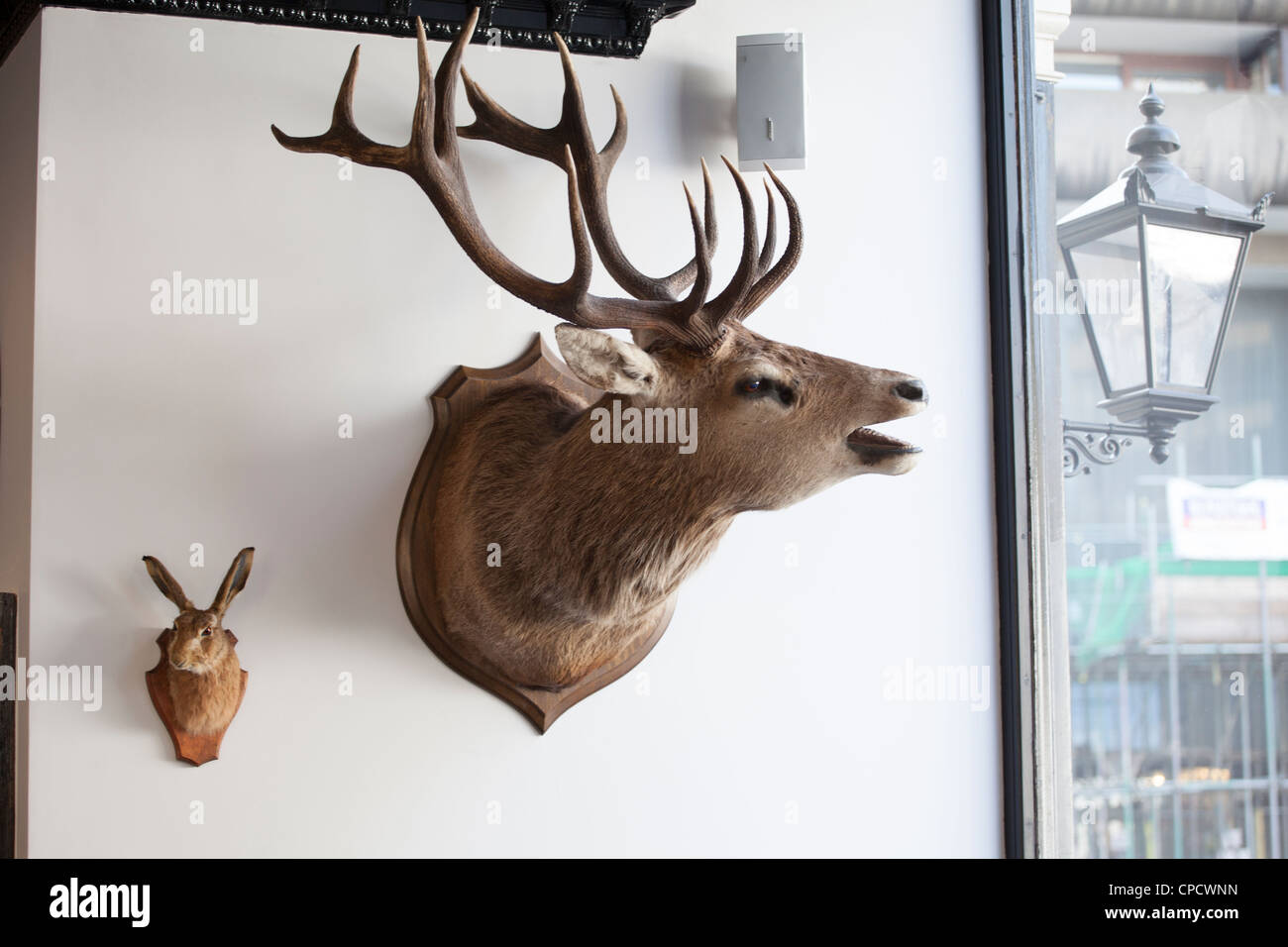 Jugged hare london hi-res stock photography and images - Alamy
