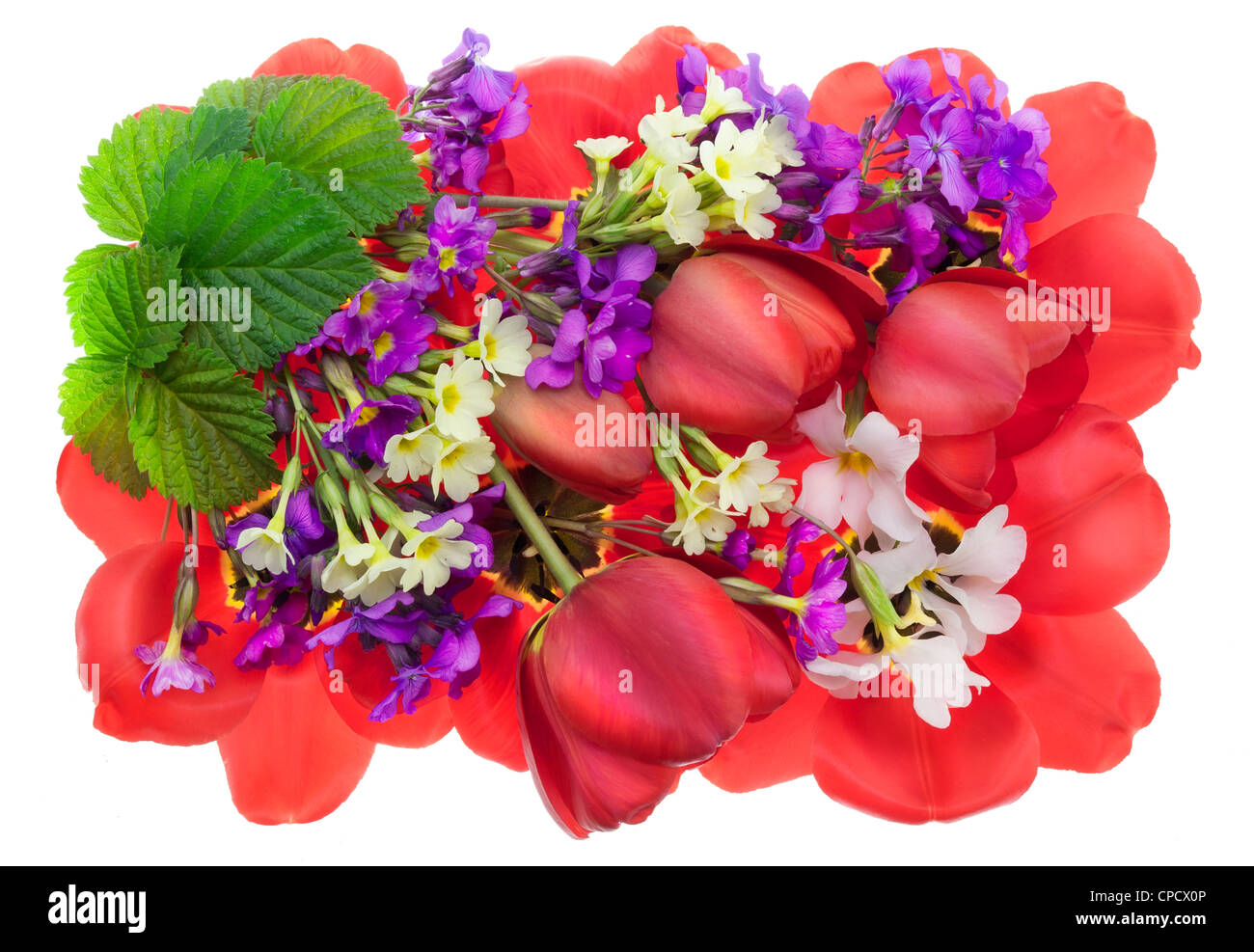 Bloody flowers Cut Out Stock Images & Pictures - Alamy