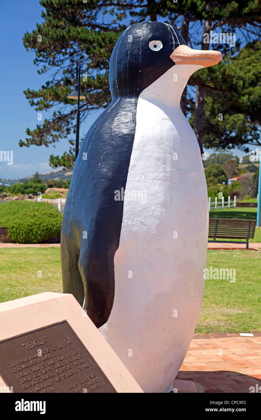 Penguin tasmania hi-res stock photography and images - Alamy