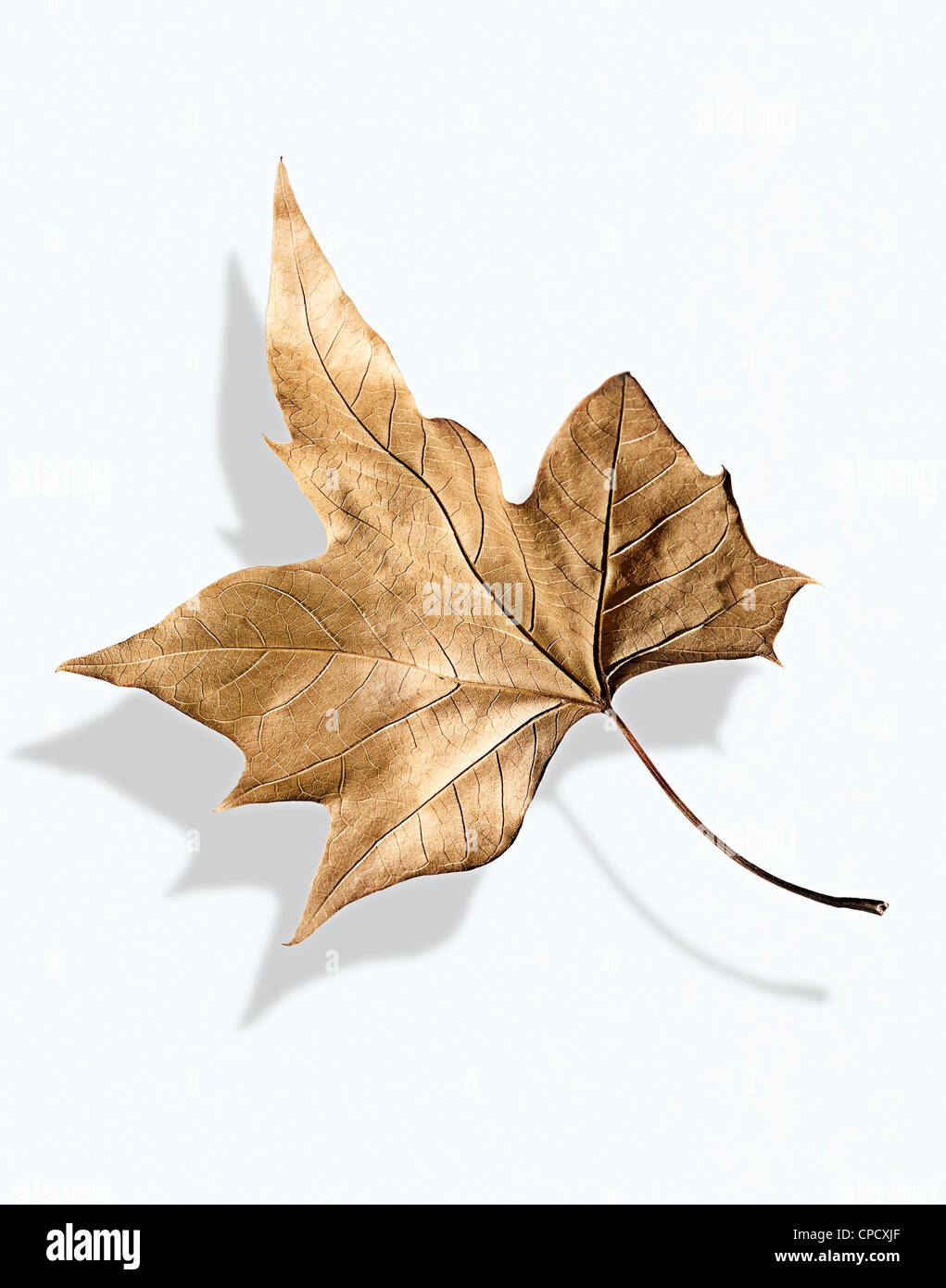 Casting shadow people Cut Out Stock Images & Pictures - Alamy