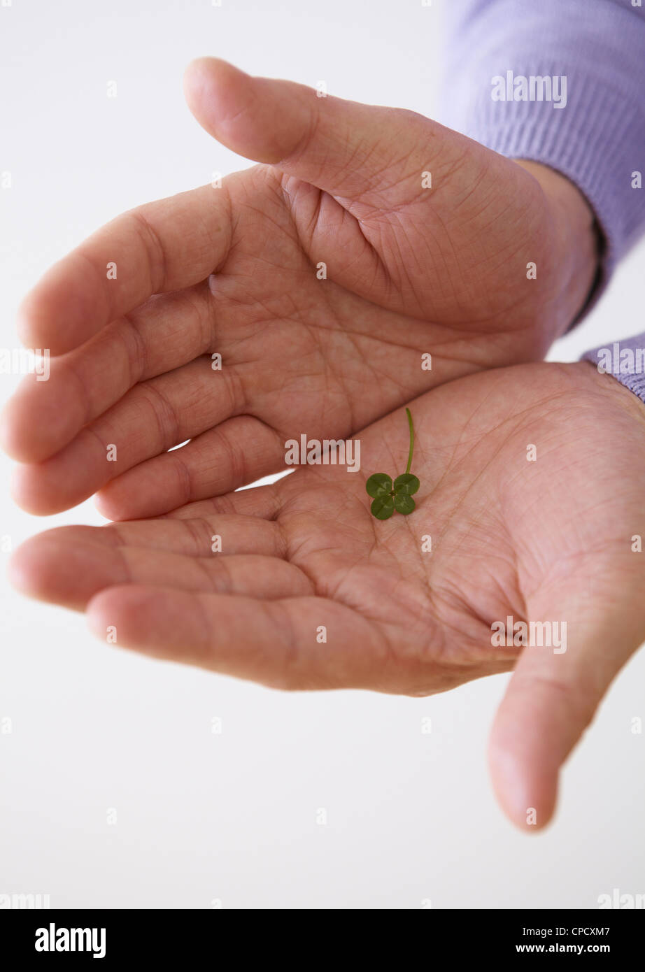 Four leaf clover one hand hi-res stock photography and images - Alamy
