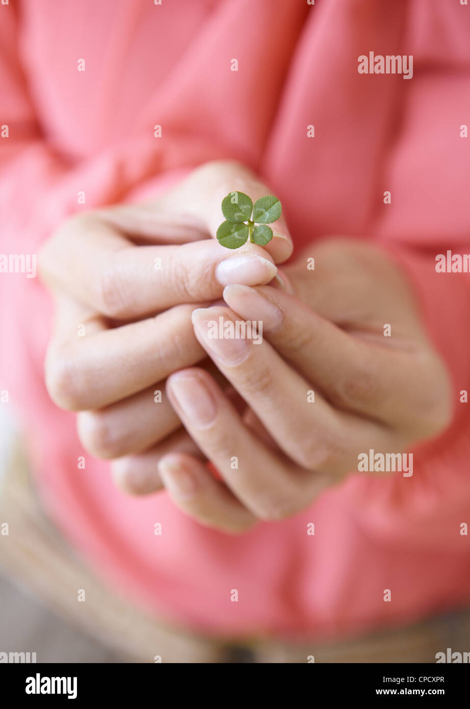 Four leaf clover one hand hi-res stock photography and images - Alamy
