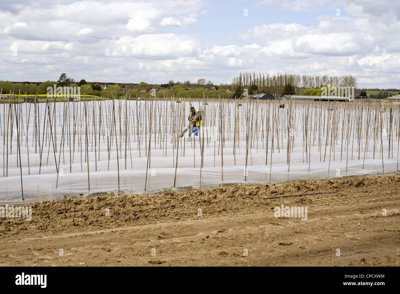 construction in a field Stock Photo - Alamy