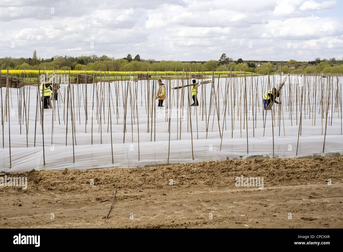 construction in a field Stock Photo - Alamy