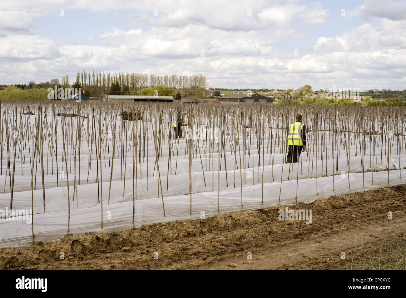 construction in a field Stock Photo - Alamy